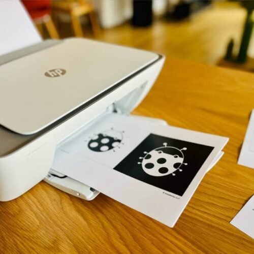 Printable Baby Flash Cards - Infant Zoo